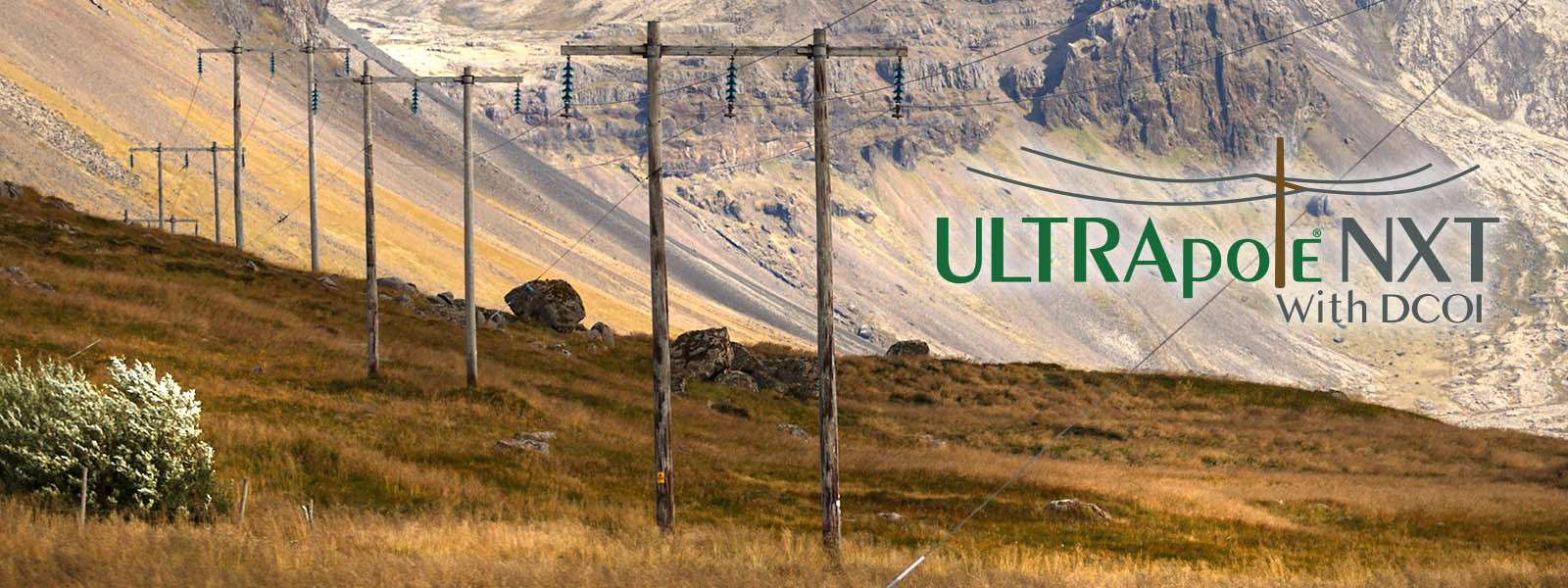 EPA approves UltraPole® NXT UP-50 for use in western species wood poles ...